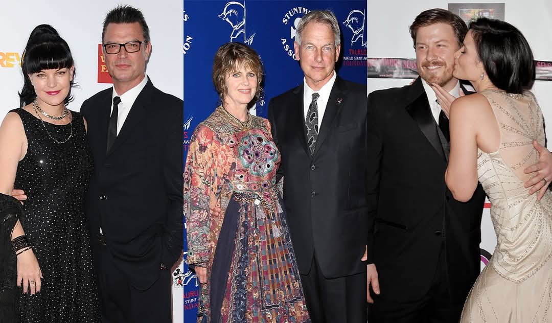 Meet the Real-Life Partners of the NCIS Cast (Including the Couple Who ...