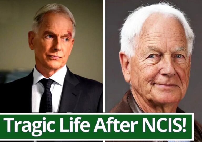 NCIS Star Mark Harmon, 72, Looks Radically Different 21 Years After ...