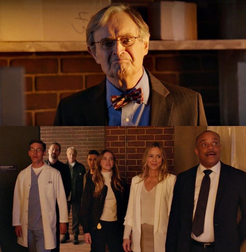 A Forgotten NCIS Character Is Poised For A Big Origins Season 2 Role ...
