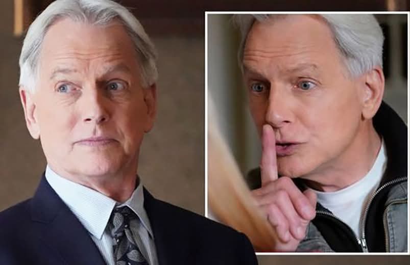 NCIS Confirms Exciting Update on Mark Harmon’s Return as Gibbs After ...