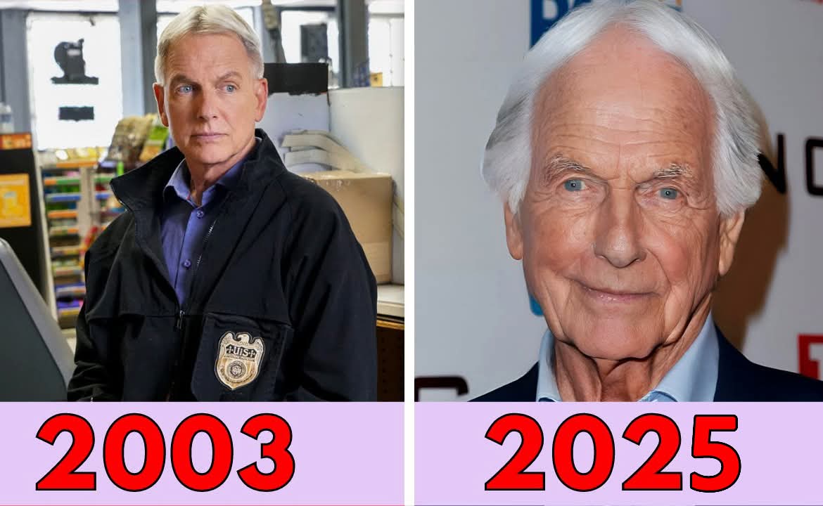 TV series NCIS How Changed Actors [Then and Now 2025] – News24