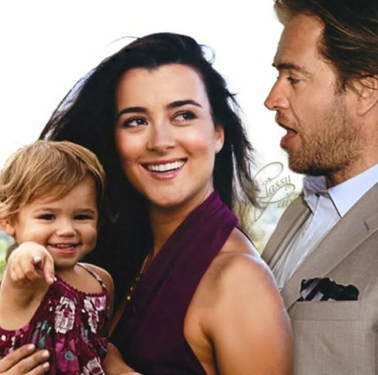 NCIS: Tony & Ziva Season 2 – Will It Happen? Cote de Pablo Says She’d ...