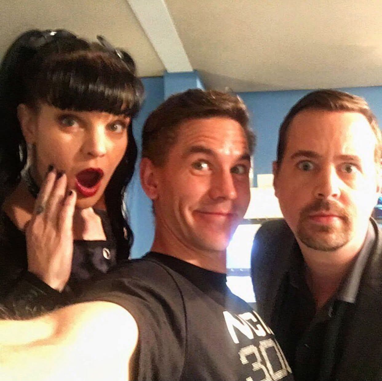 NCIS Season 23 Twist Pays Heartfelt Tribute to Jimmy Palmer in Special ...