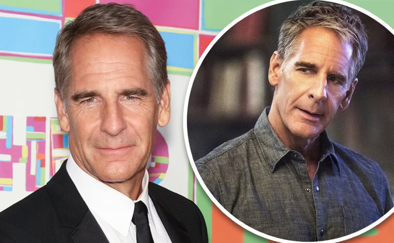 NCIS Producers Open to Scott Bakula’s Return as Agent Dwayne Pride – News24